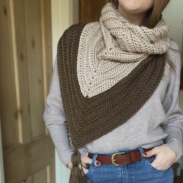 Easy Triangle Shawl Crochet Pattern | HanJan Crochet